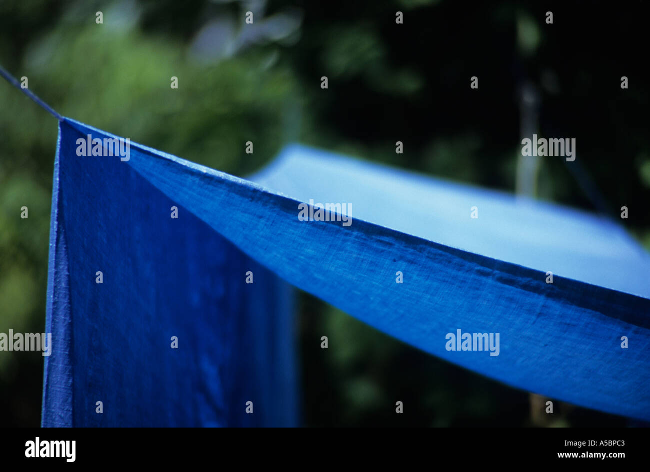 Natural plant dyed linen material drying outside Europe's only ...