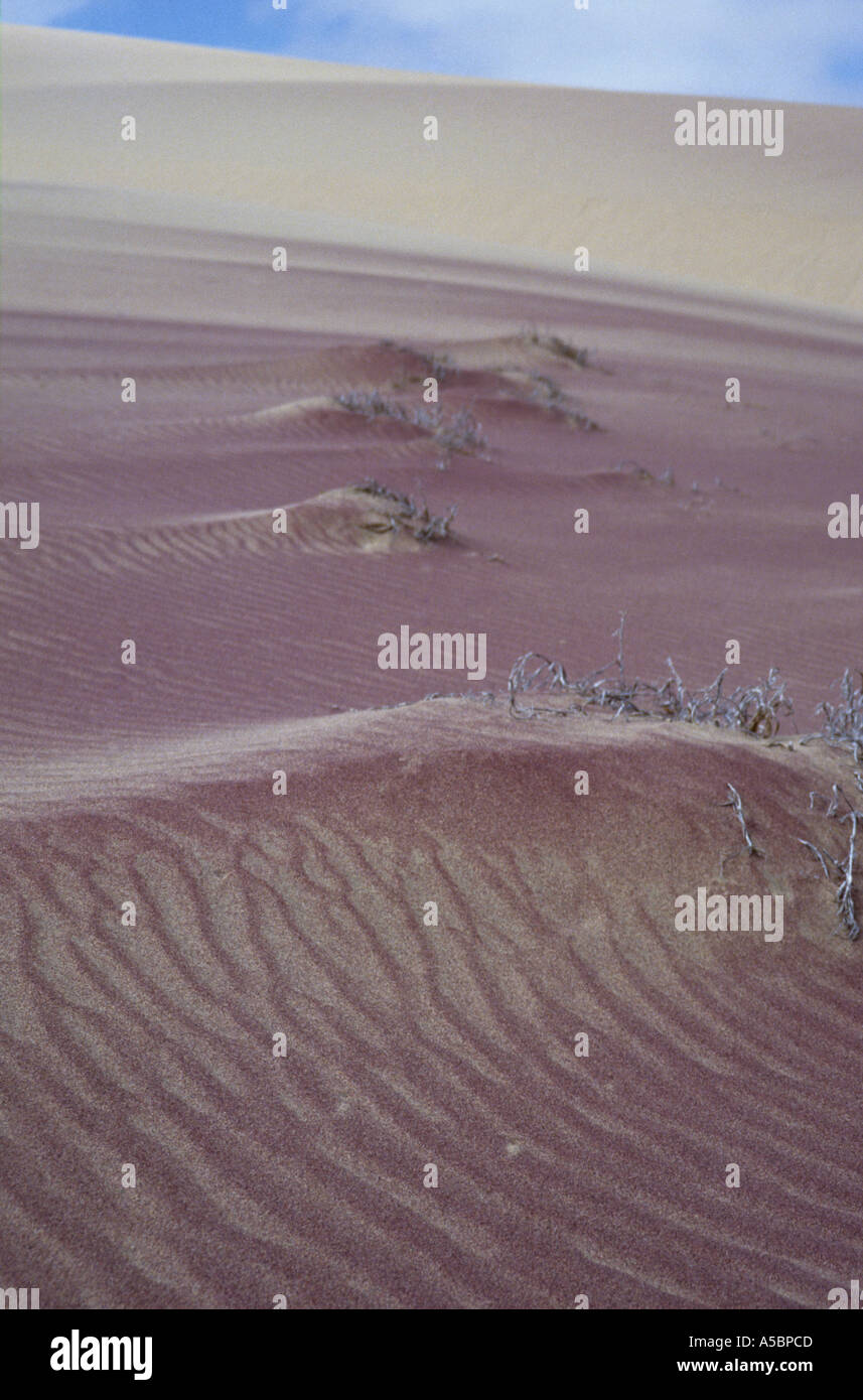 Windswept namib desert coast hi-res stock photography and images - Alamy