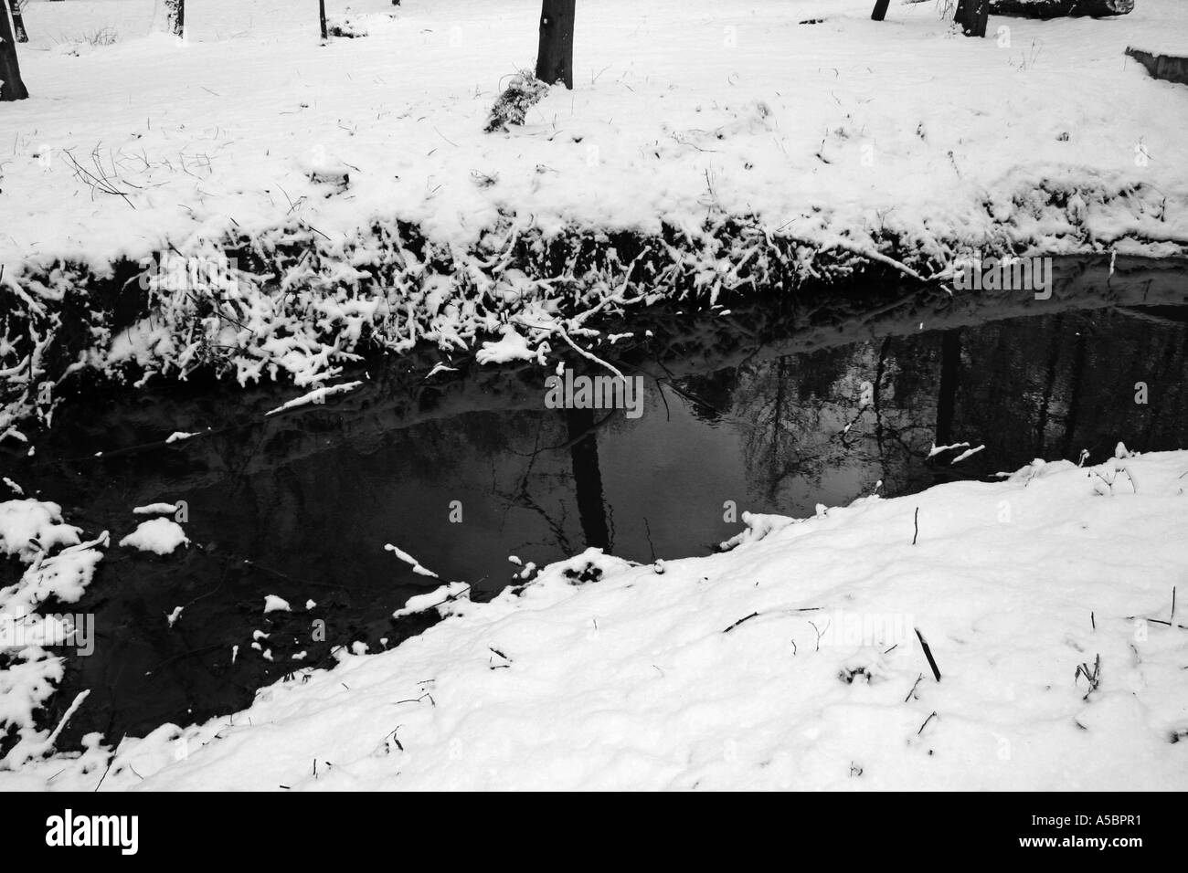 Forest landscape road river Black and White Stock Photos & Images - Alamy