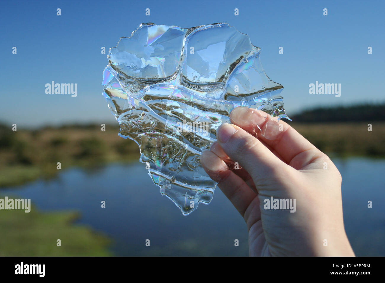 Ice in hand, winter in the New Forest Stock Photo - Alamy
