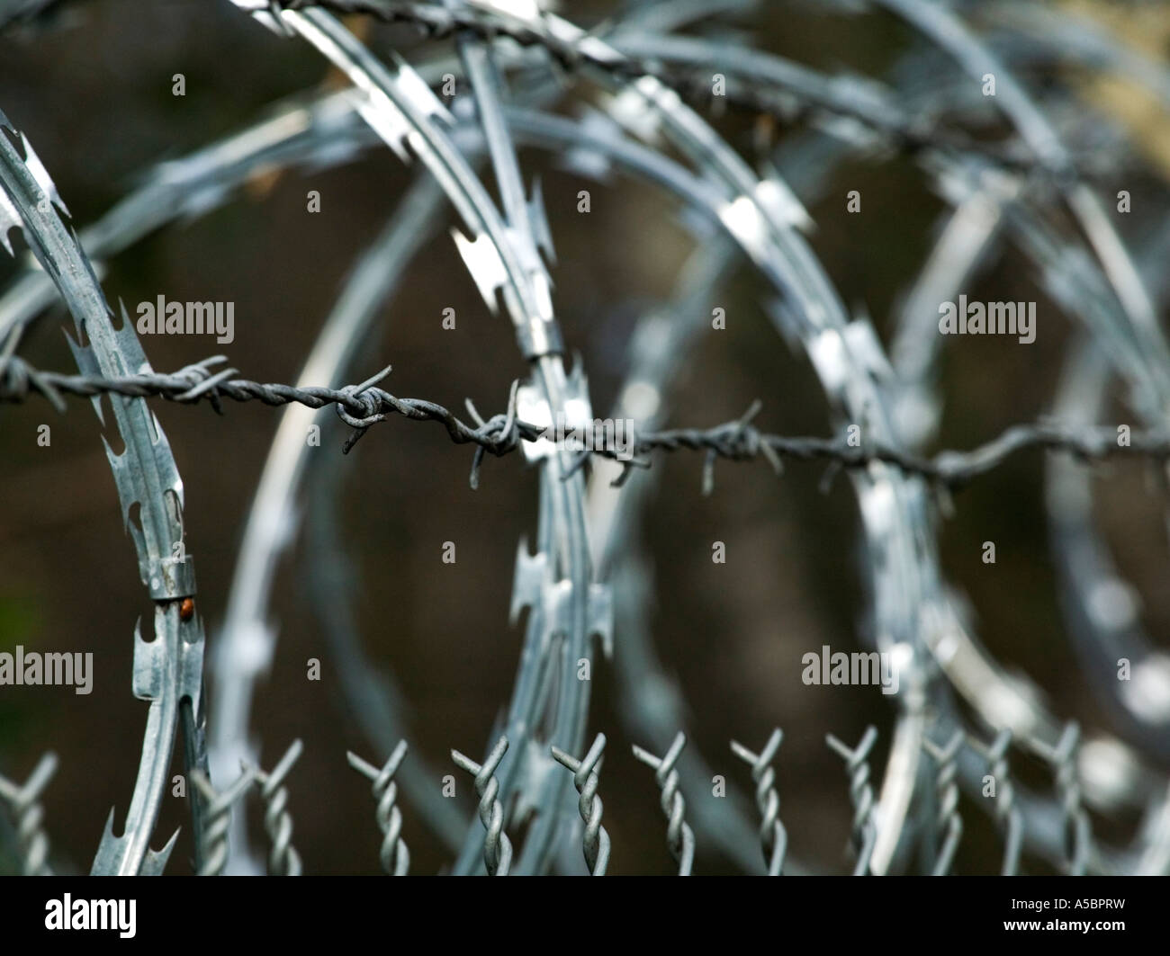Barbed wire fence Stock Photo - Alamy