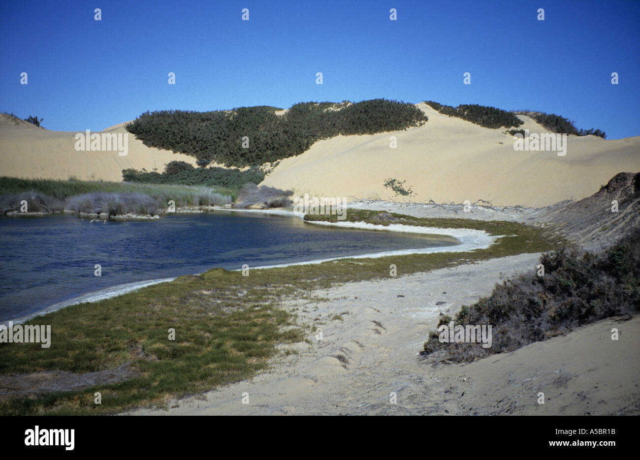 Auses water hole Namib Desert Namibia Stock Photo - Alamy