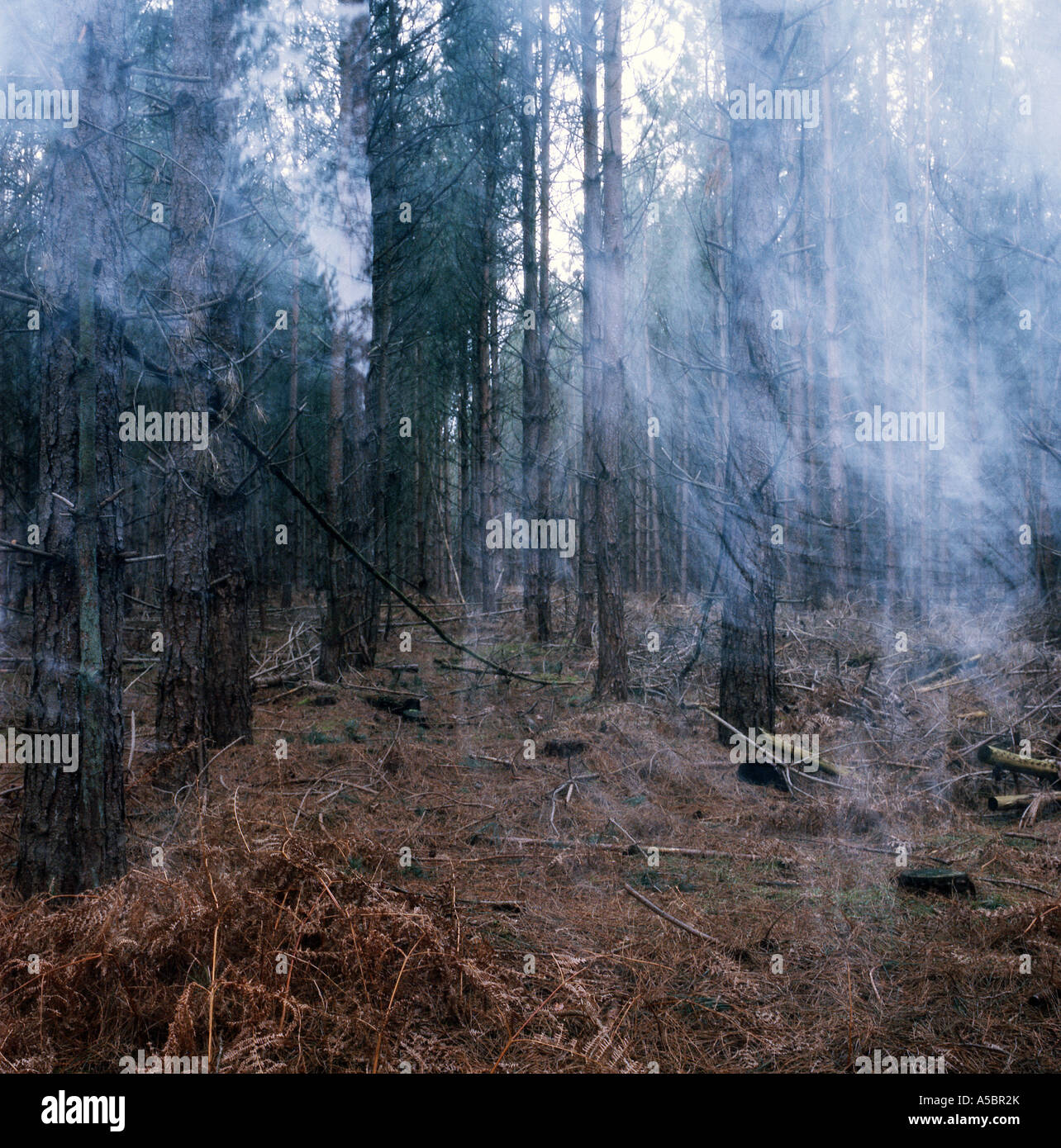 Ghost mist hi-res stock photography and images - Alamy