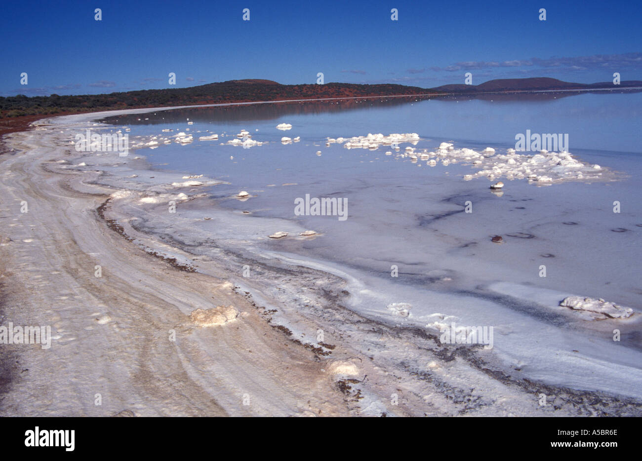 Salt Lake Gairdner South Australia Stock Photo - Alamy