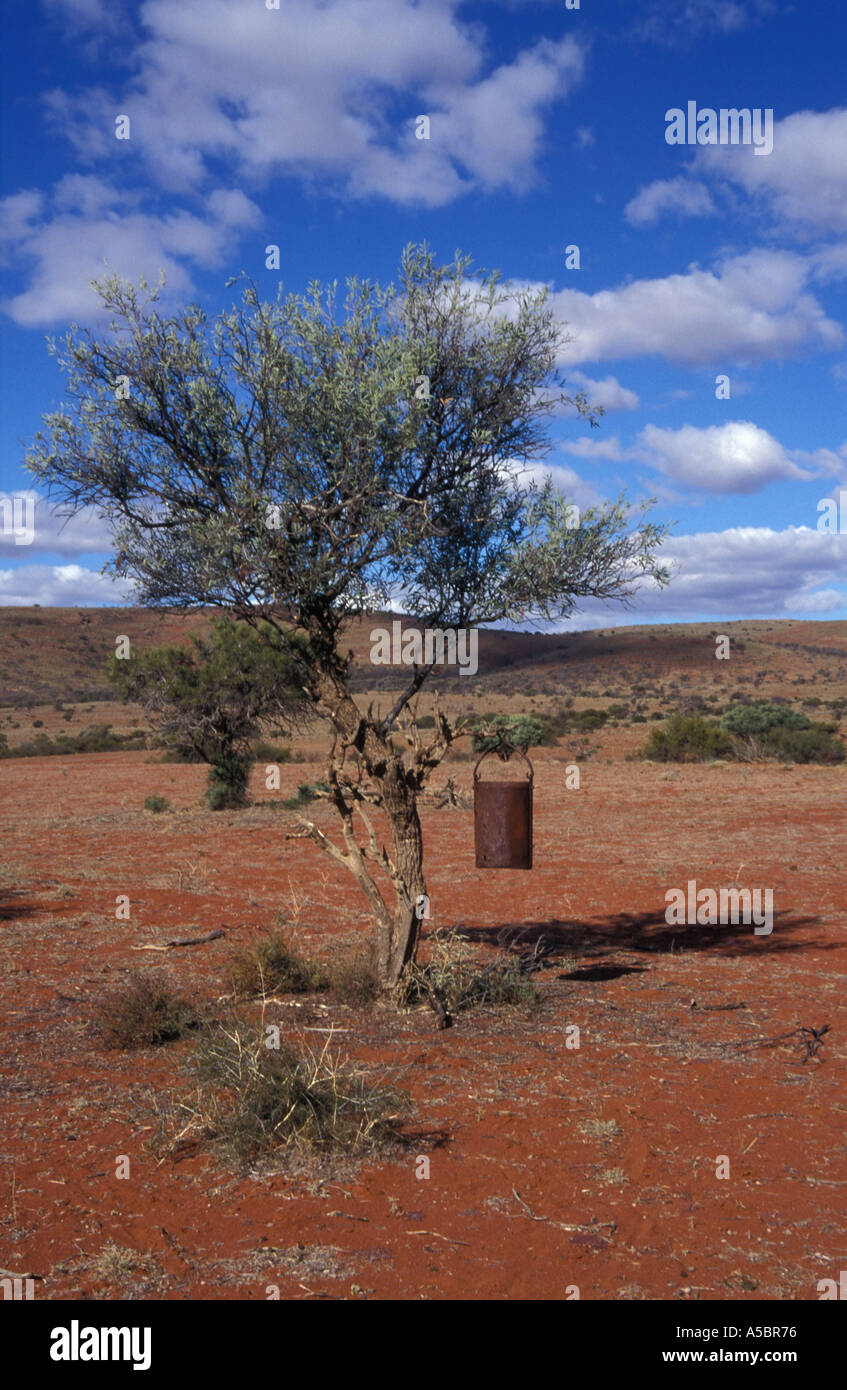 South Australia old billabong under a tree in the Outback Stock Photo ...