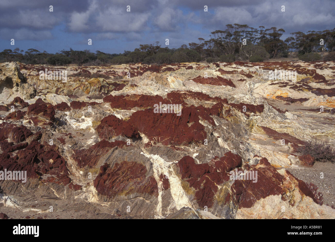 South Australia bone opal landscape Stock Photo - Alamy