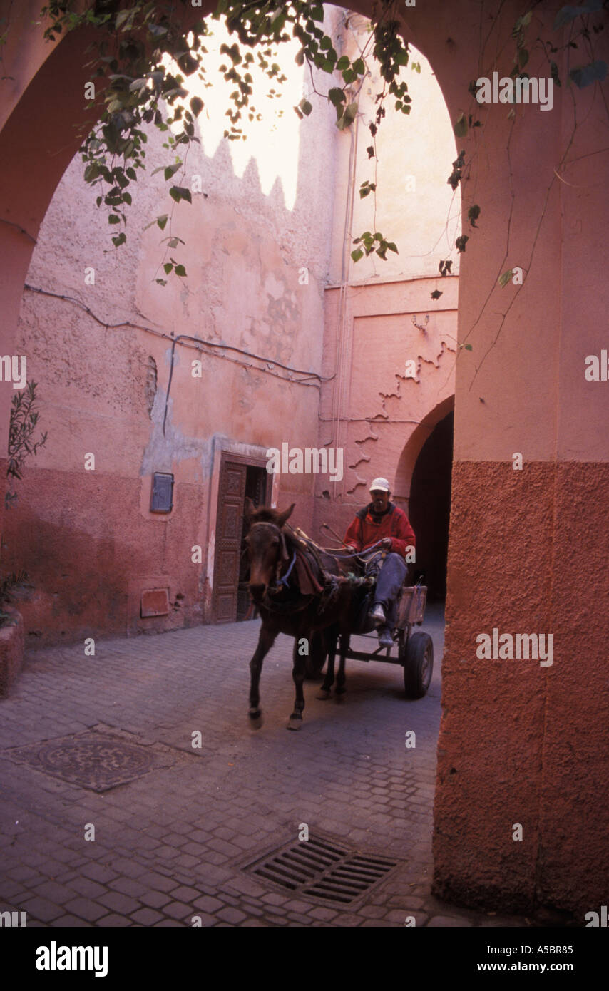Morocco horse drawn cart in Marrakech street Stock Photo - Alamy