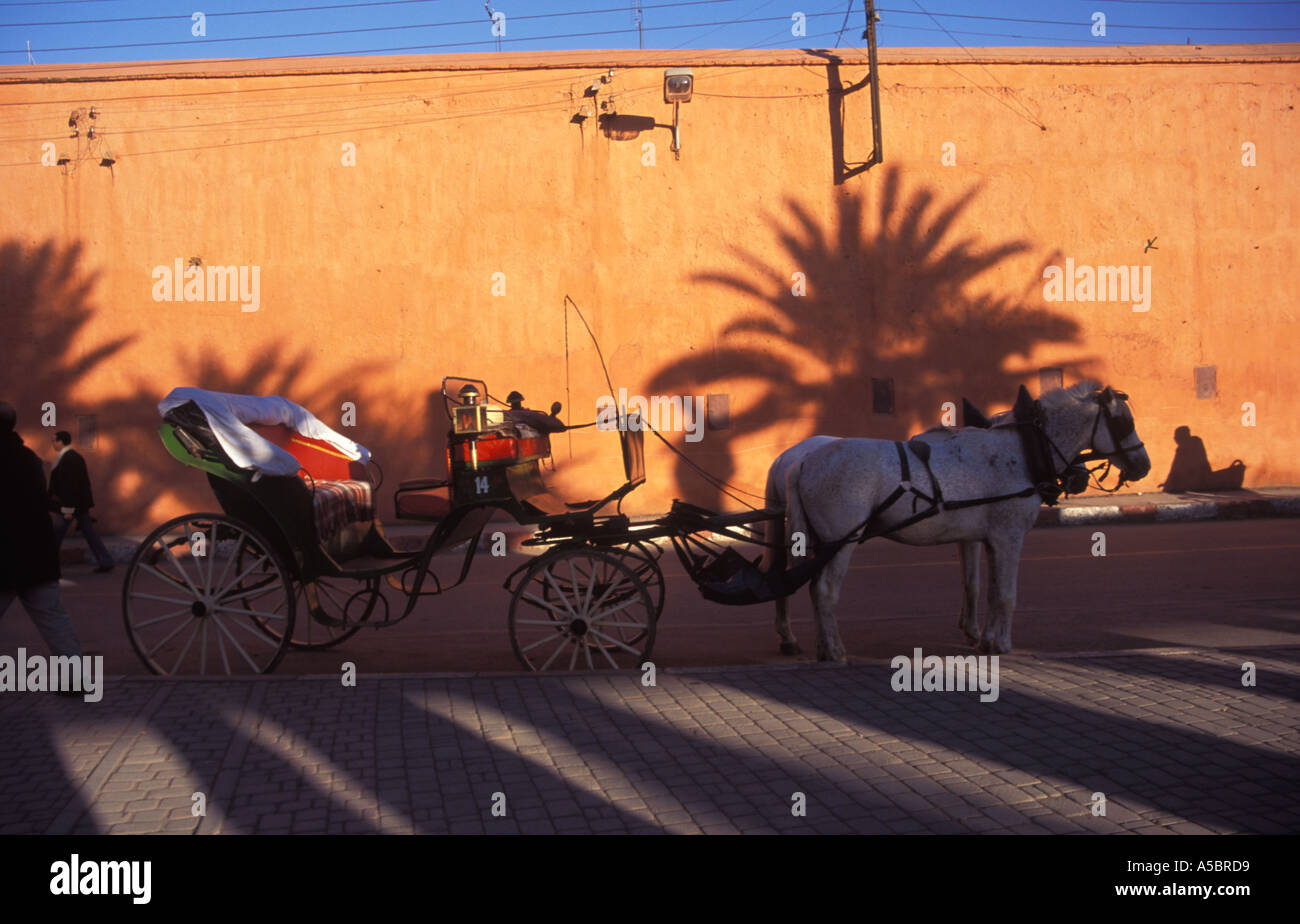 Caleche marrakech morocco hi-res stock photography and images - Alamy