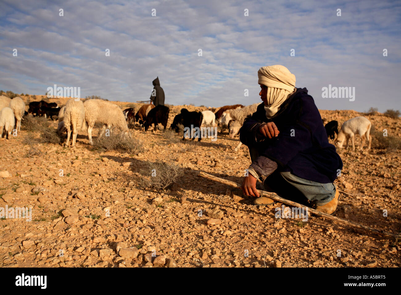 Shepherd watching his sheep hi-res stock photography and images - Alamy