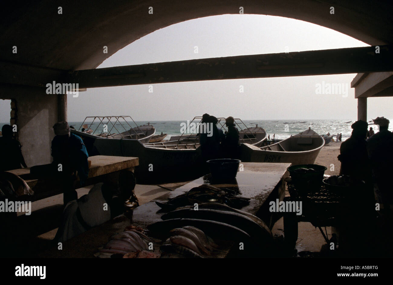 Mauritania fishing industry hi-res stock photography and images - Alamy