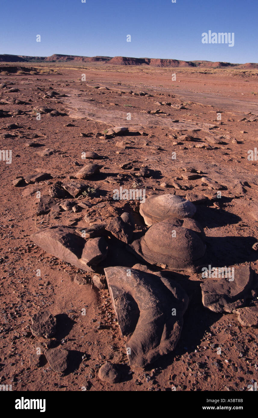 Turds High Resolution Stock Photography and Images - Alamy