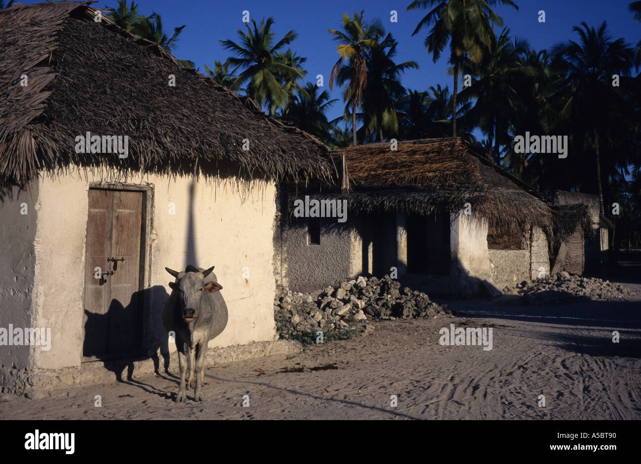 Paje house hi-res stock photography and images - Alamy