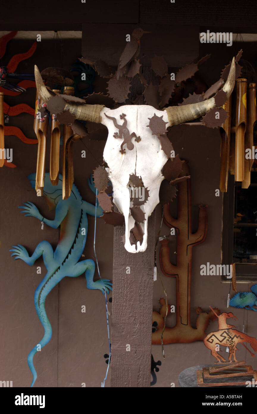 Steer skull hi-res stock photography and images - Alamy