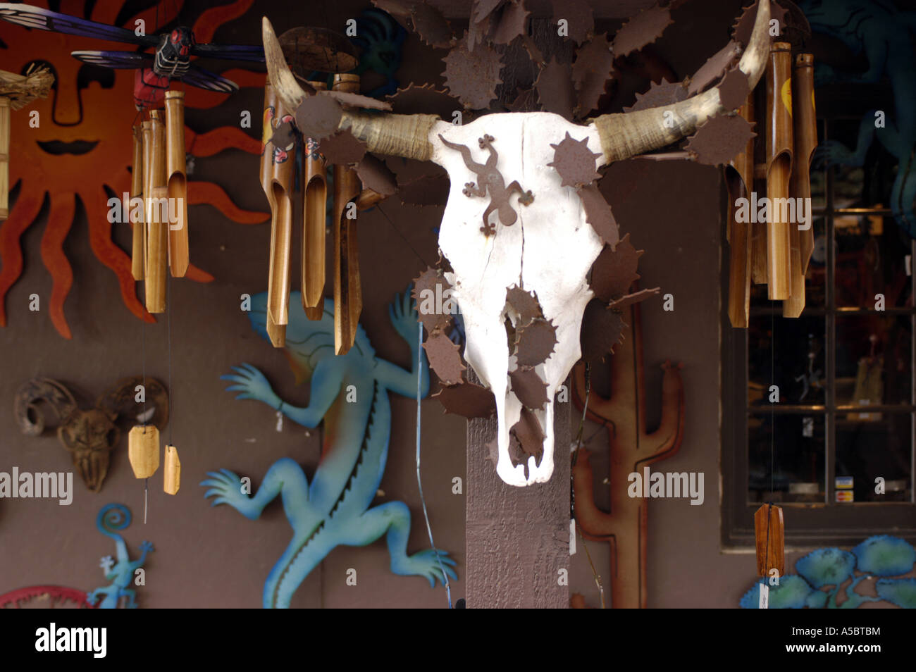 Steer skull hi-res stock photography and images - Alamy