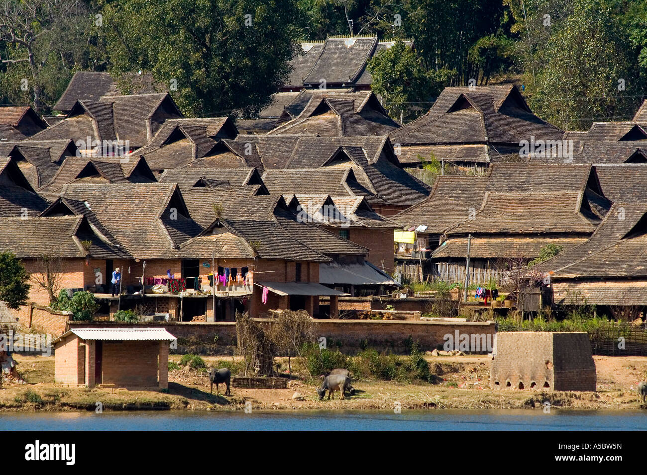 Hani Ethnic Minority Village Akha Wooden Houses Gelanghe Xishuangbanna ...
