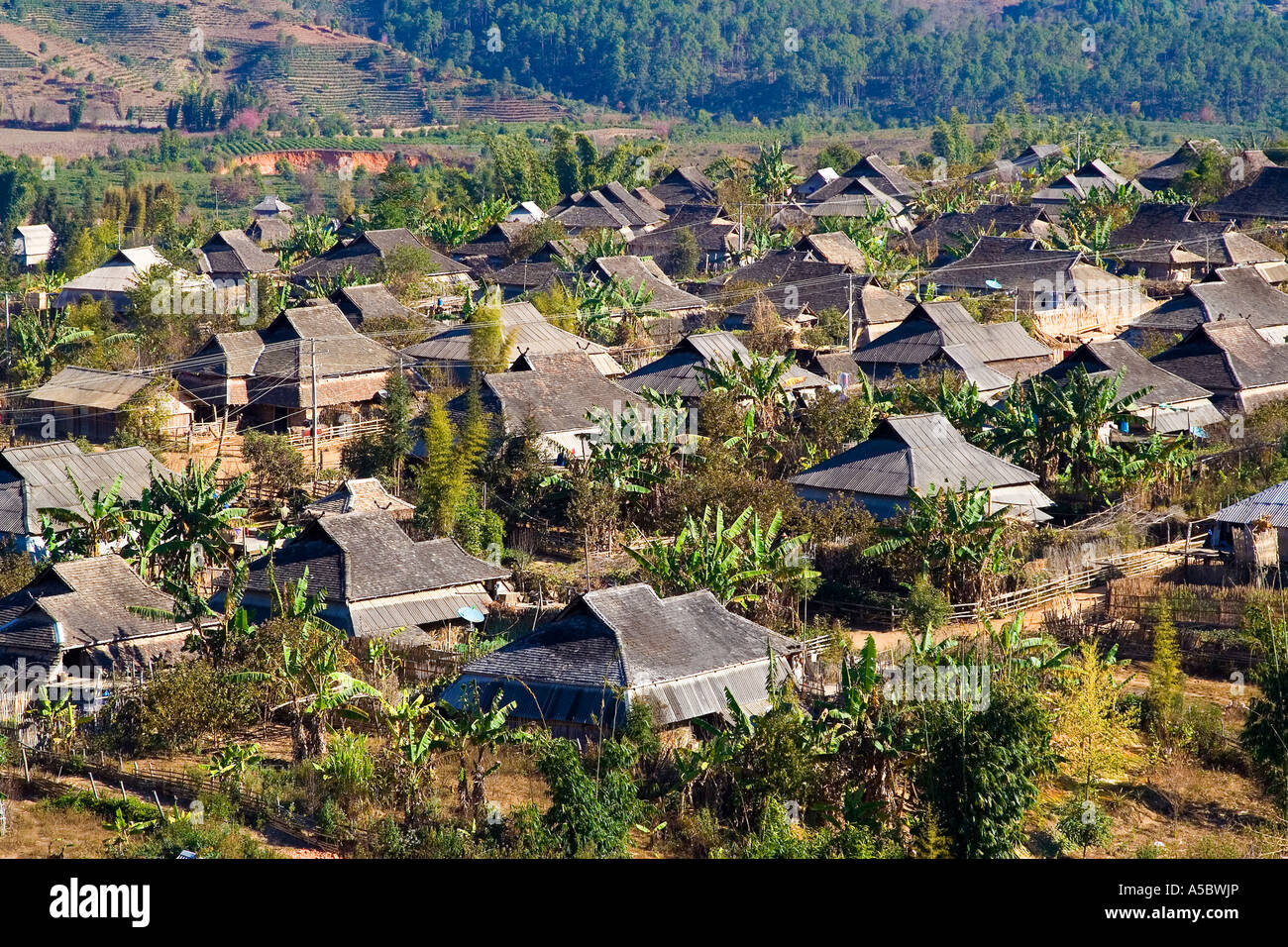 Hani Ethnic Minority Village Akha Wooden Houses Gelanghe Xishuangbanna ...