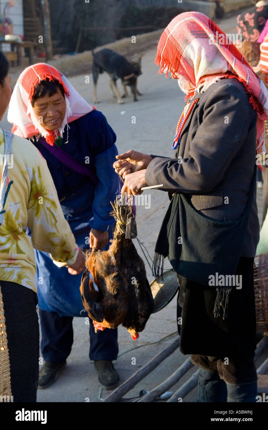 Woman weighing chicken hi-res stock photography and images - Alamy