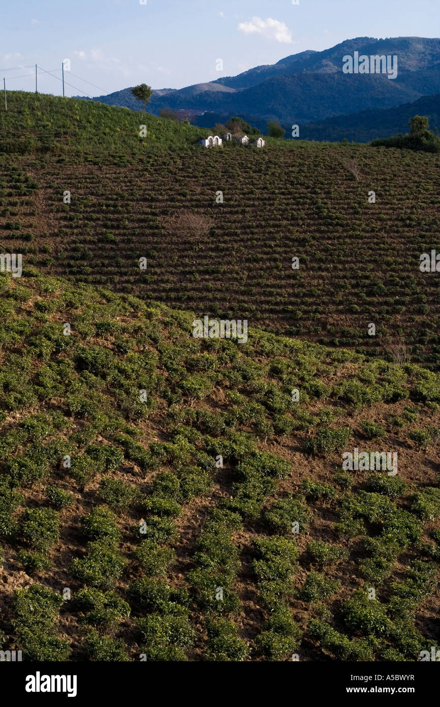 Ancestrial graves hi-res stock photography and images - Alamy