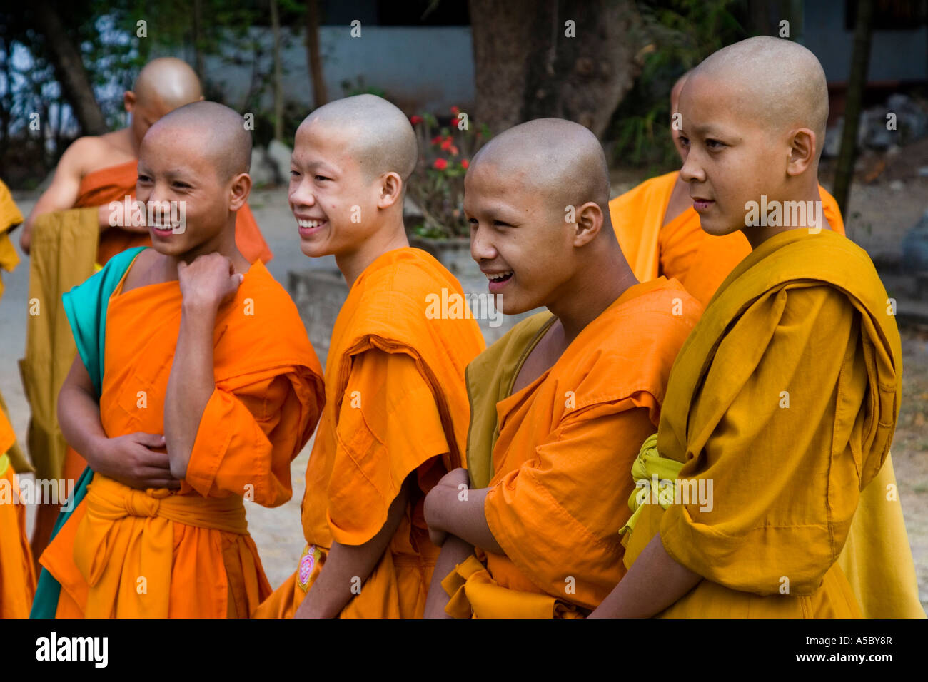 Monks Laughing Wat Si Bun Heuang Luang Prabang Laos Stock Photo - Alamy