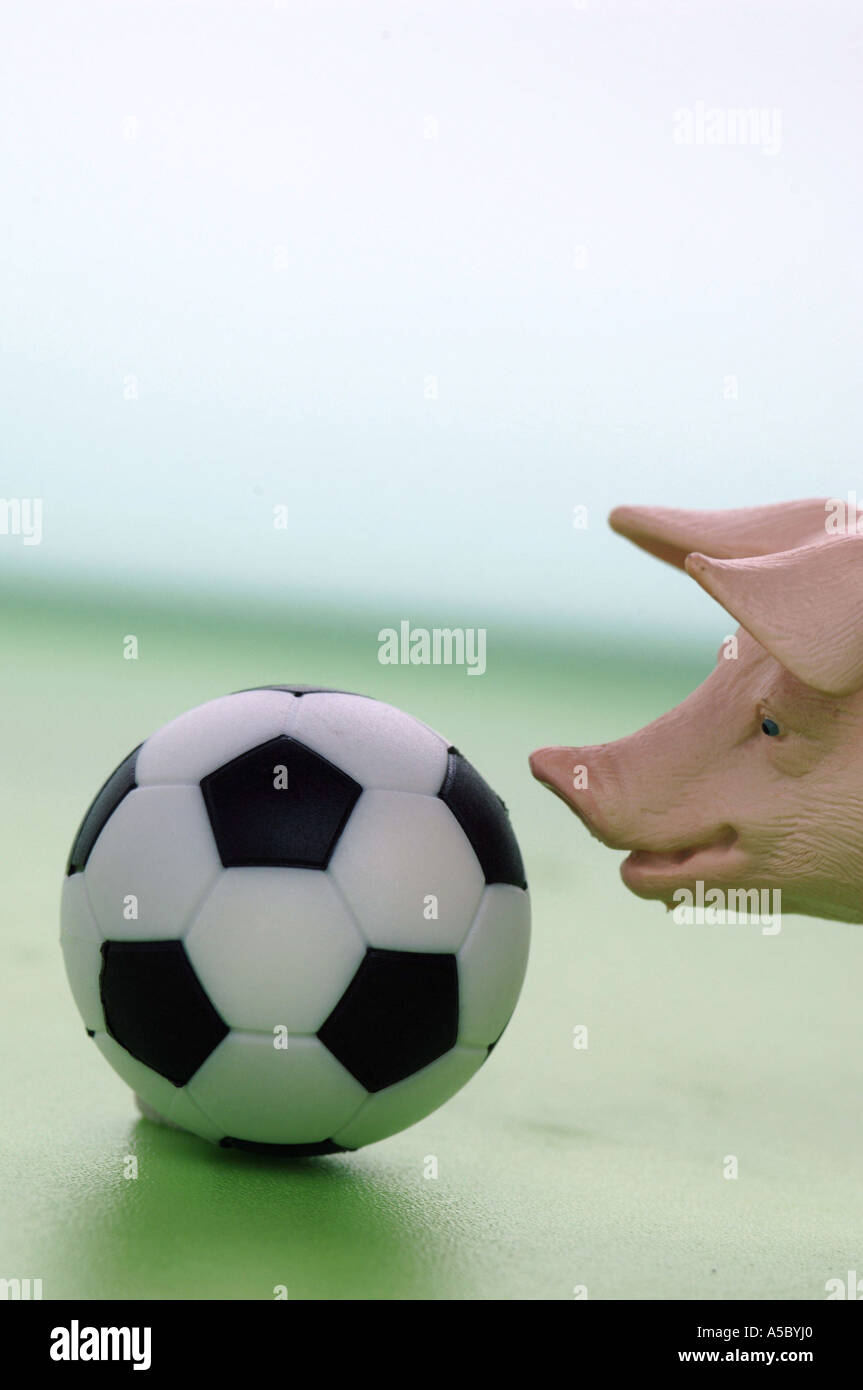 Football sport pig soccer hi-res stock photography and images - Alamy