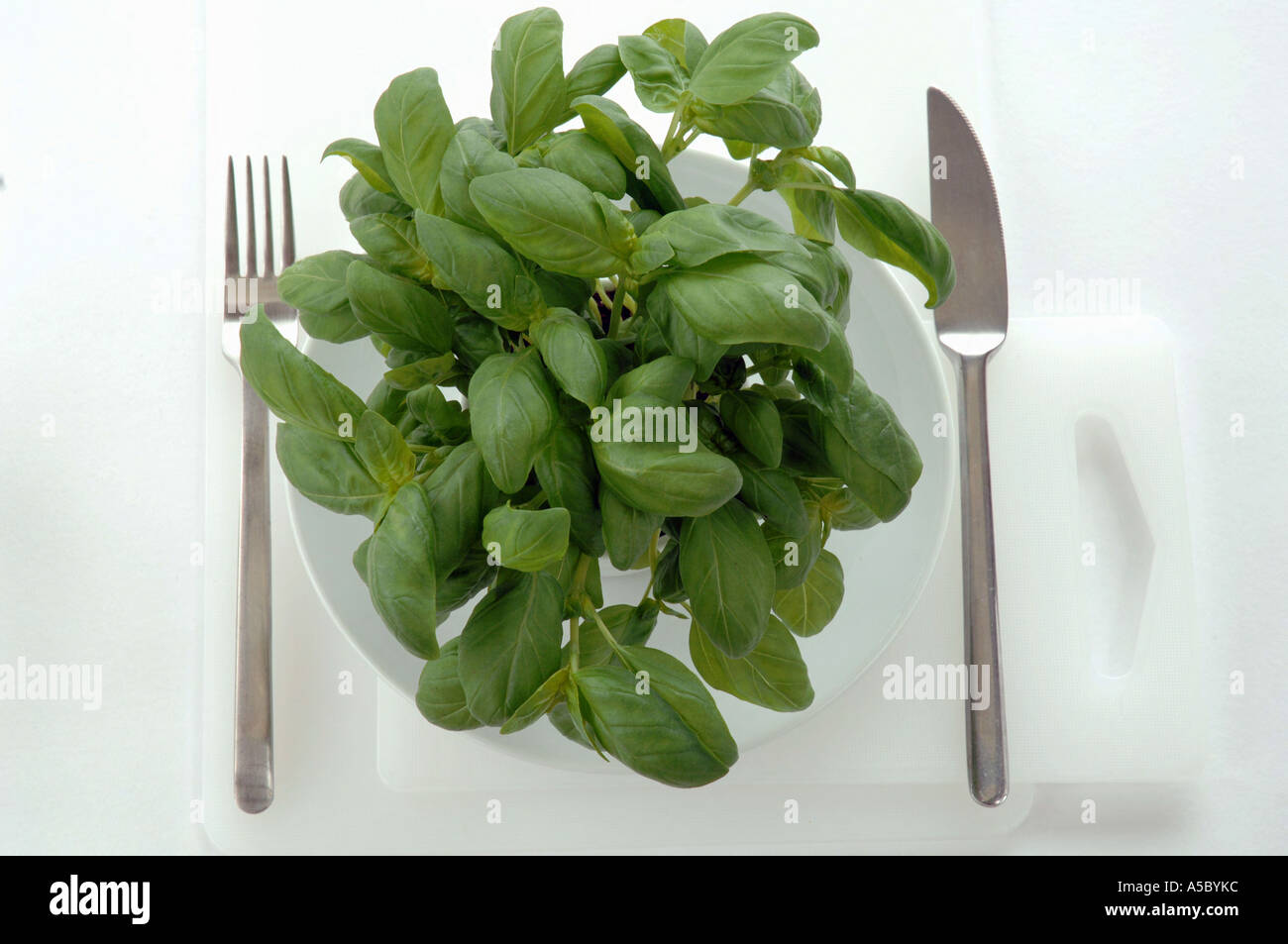 Basil leaves on plate Stock Photo - Alamy