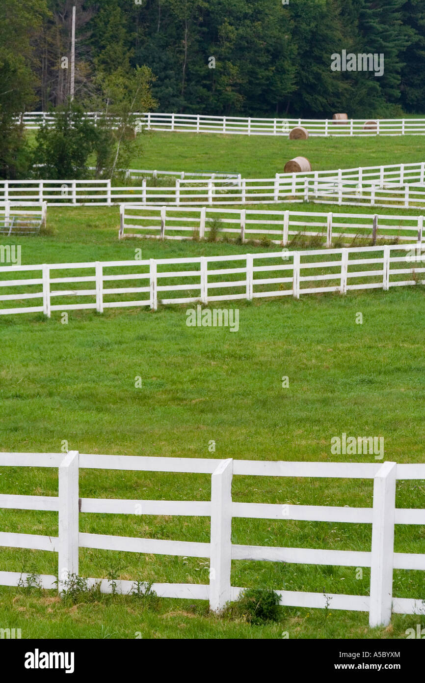 Running fence hi-res stock photography and images - Alamy