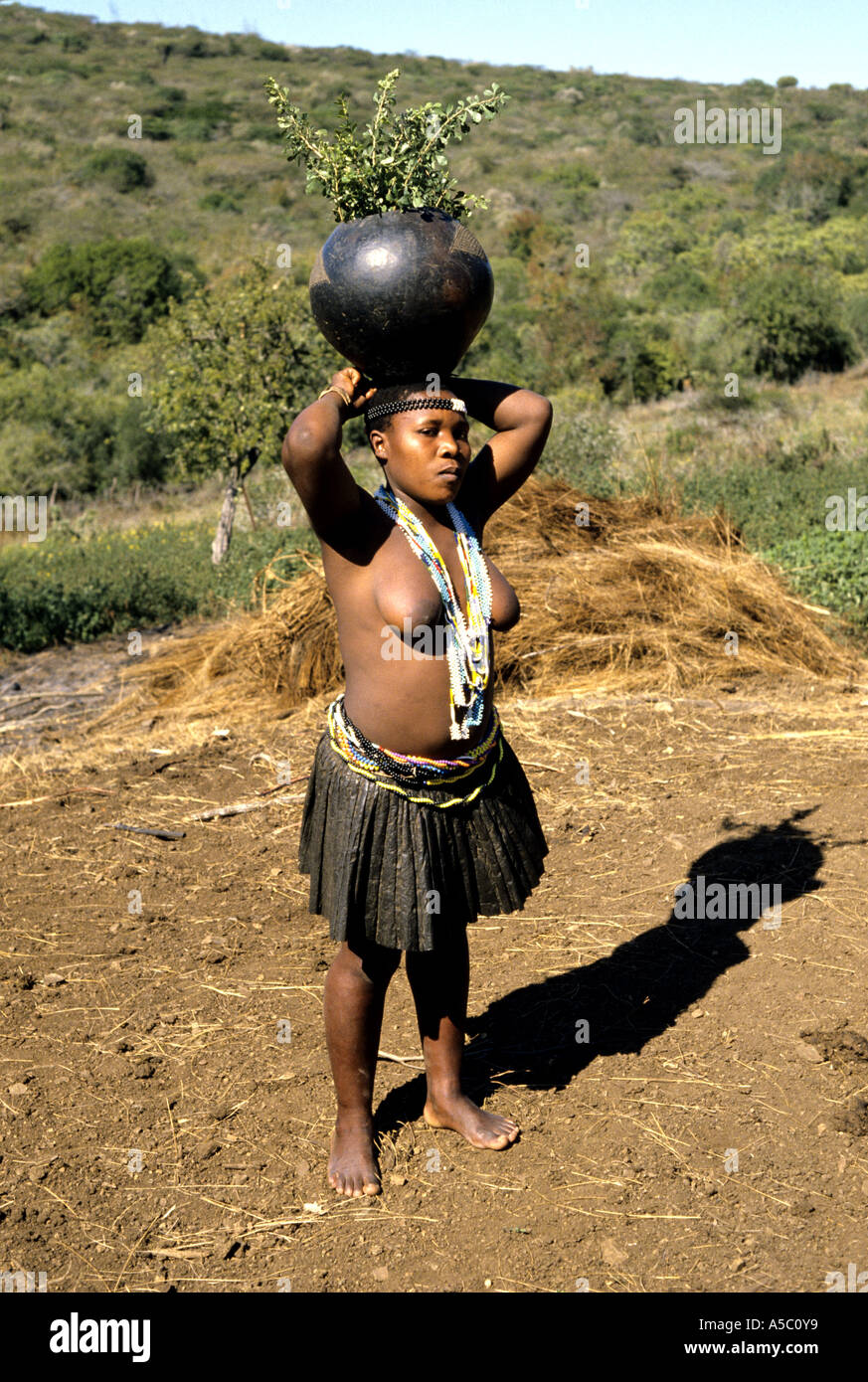 Young Zulu maiden carrying water in a jar with twigs added to reduce ...