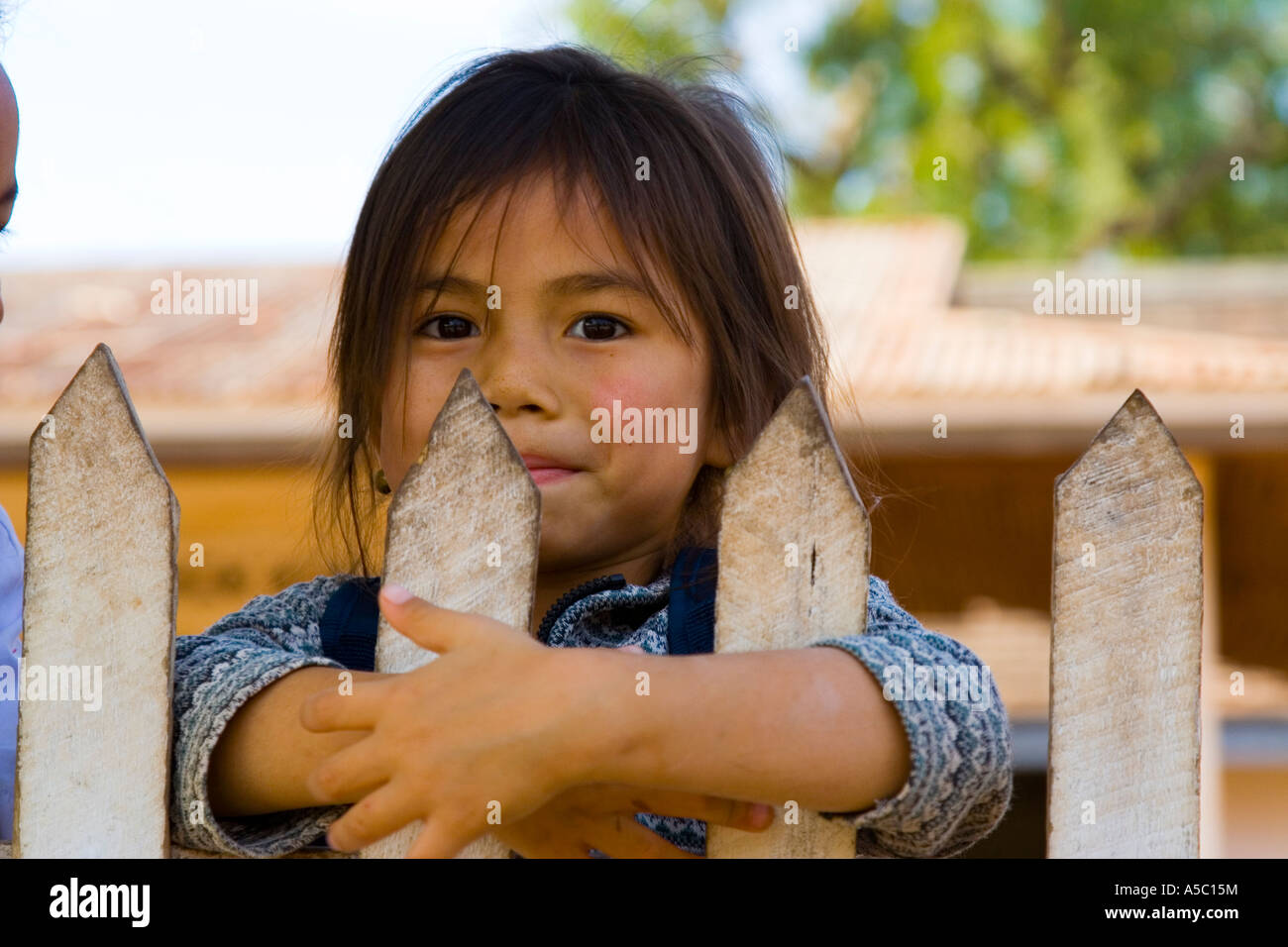 Peeking over fence hi-res stock photography and images - Alamy