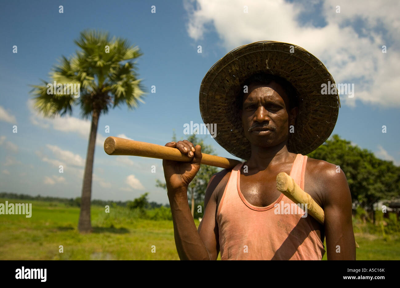 Farmer working his fields in Bangladesh Stock Photo - Alamy