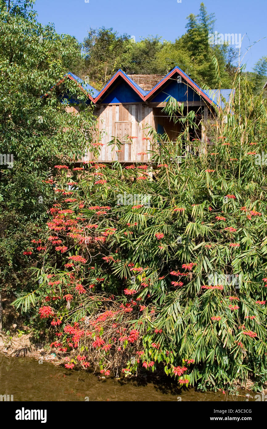 Traditional Lao Architecture House with Flowers on a Riverside Udomxai ...