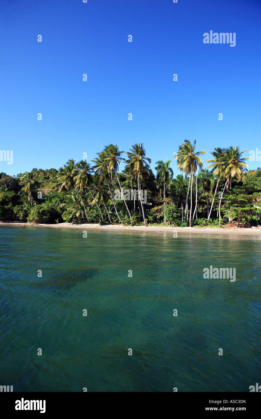 caribbean dominican republic north samana peninsula isla de cayo ...