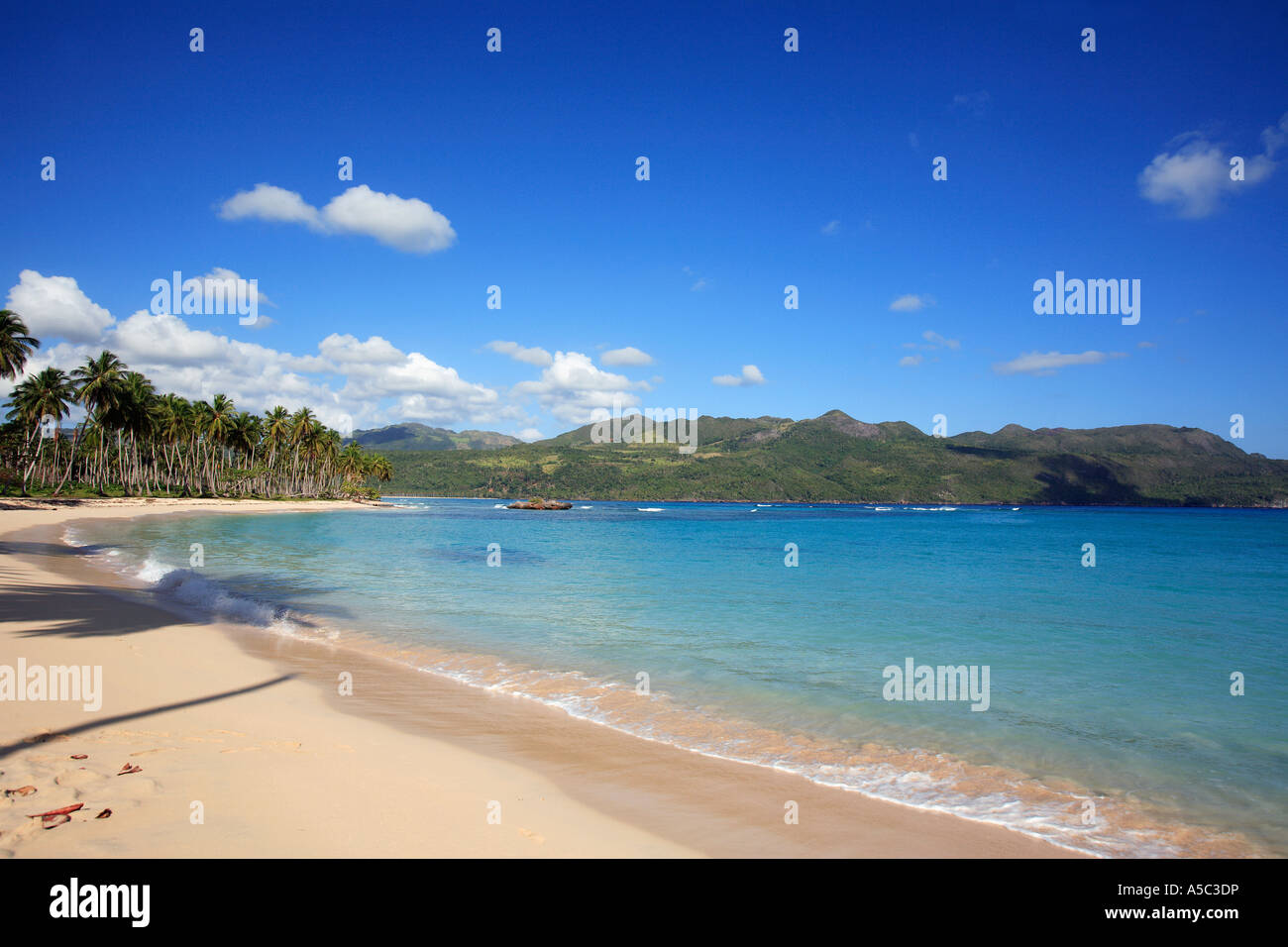 Playa rincon coconut hi-res stock photography and images - Alamy