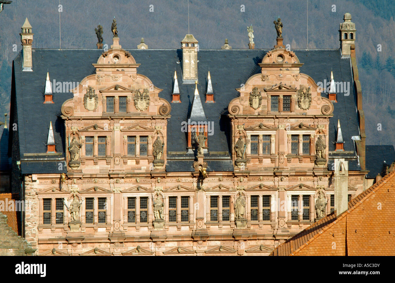 Heidelberg dachgaube hi-res stock photography and images - Alamy