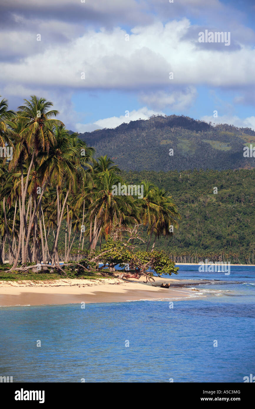 caribbean dominican republic north samana peninsula playa rincon Stock ...