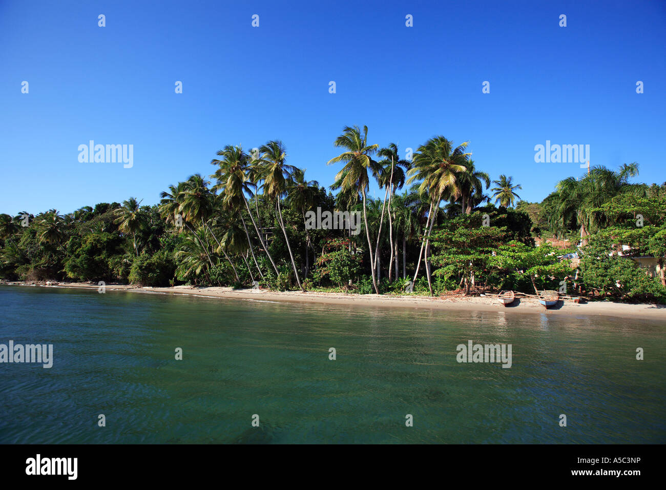 caribbean dominican republic north samana peninsula isla de cayo ...