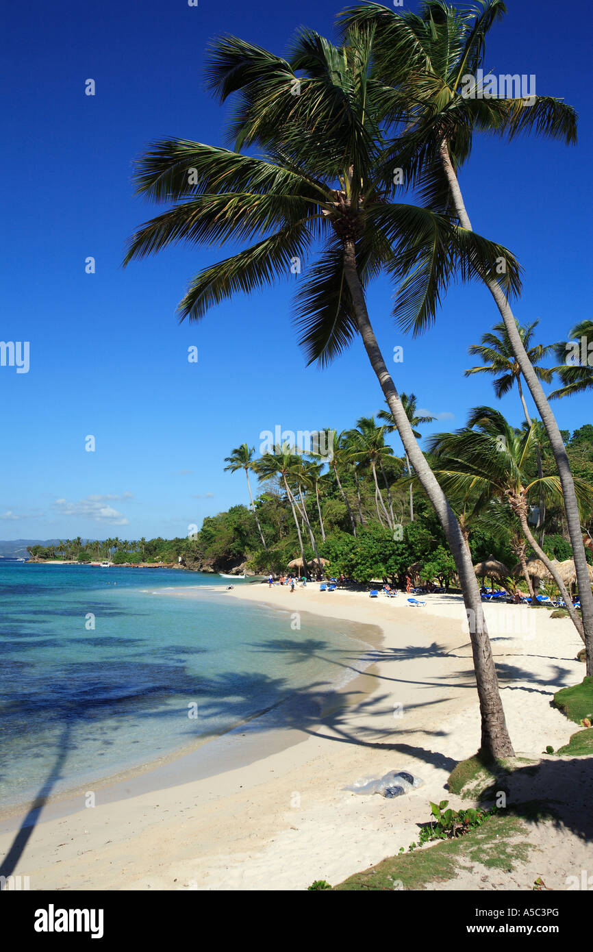 caribbean dominican republic north samana peninsula isla de cayo ...