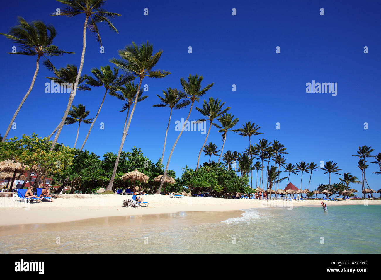 caribbean dominican republic north samana peninsula isla de cayo ...