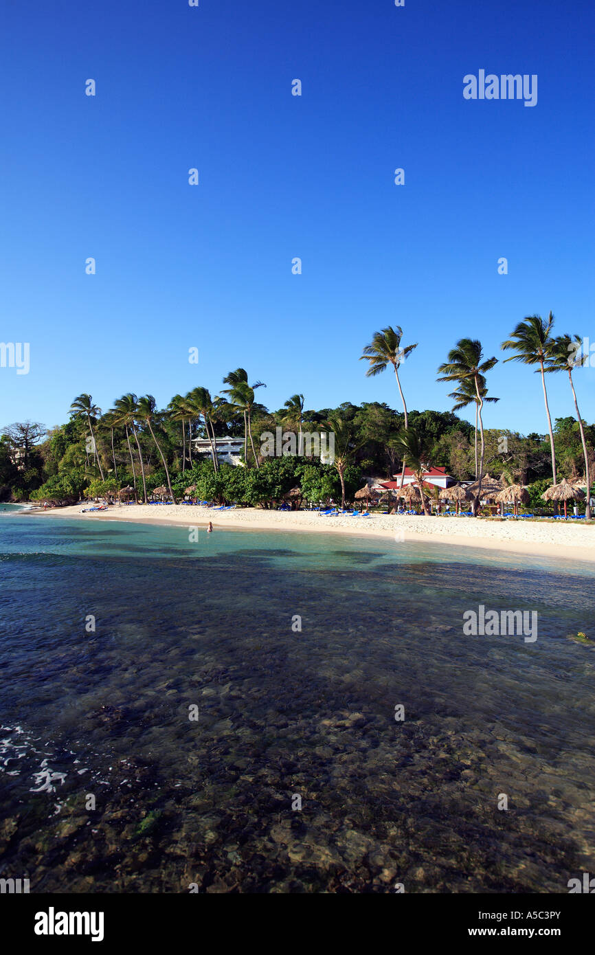 caribbean dominican republic north samana peninsula isla de cayo ...