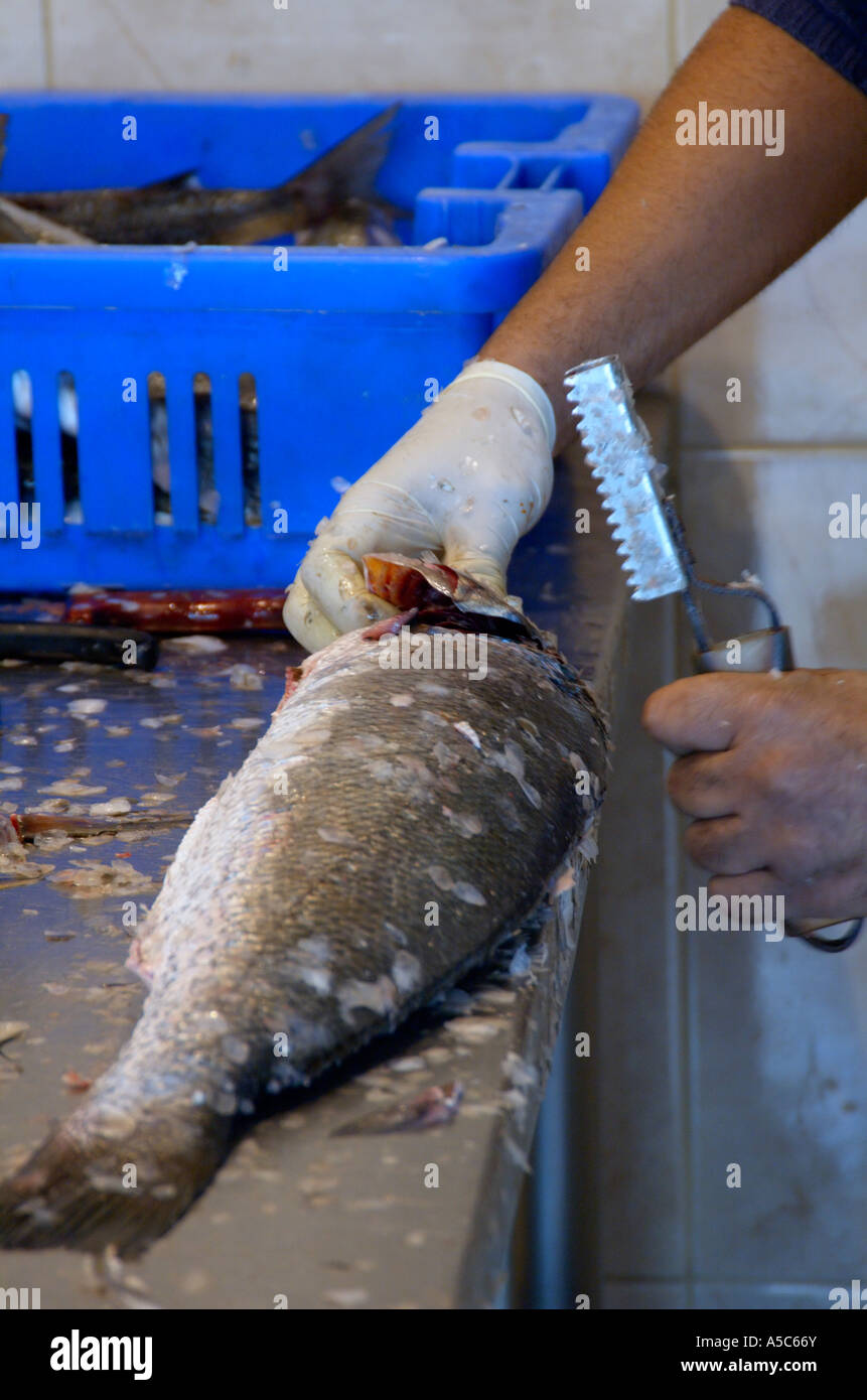 Remove scales hi-res stock photography and images - Alamy