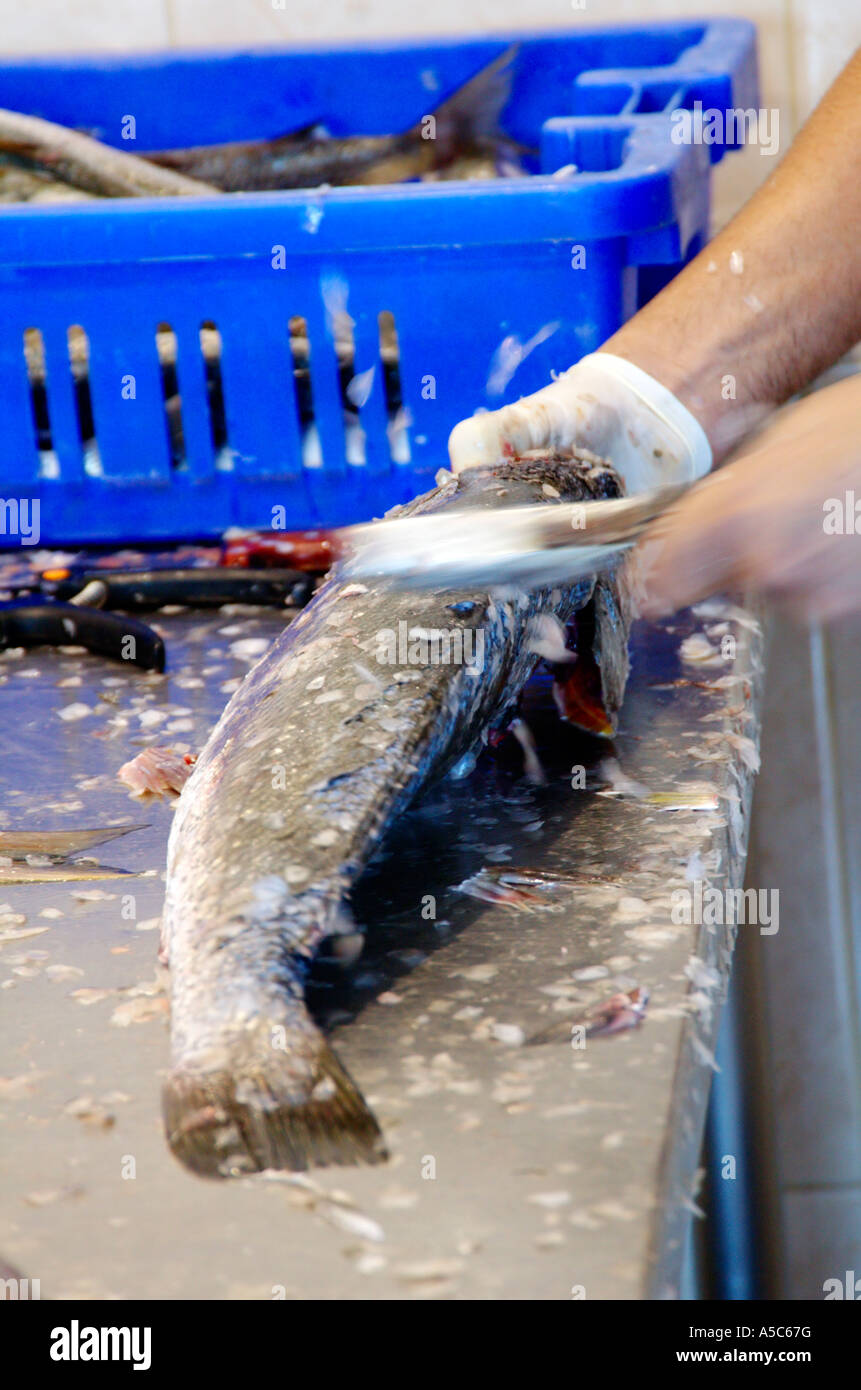 removing scales and cleaning a fresh fish at a fish vendor Jaffa Israel ...