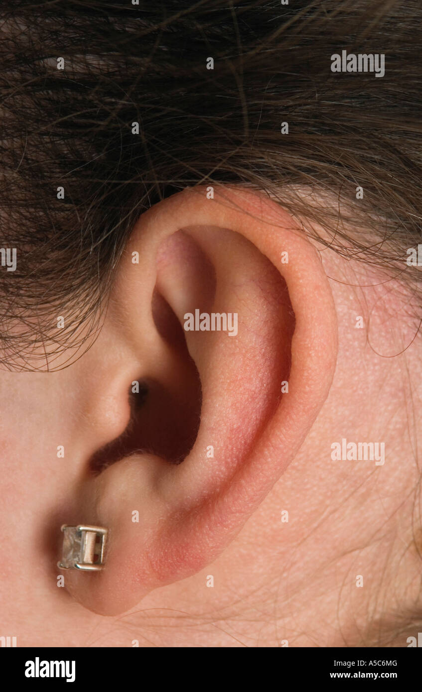 Human skin macro hair hi-res stock photography and images - Alamy