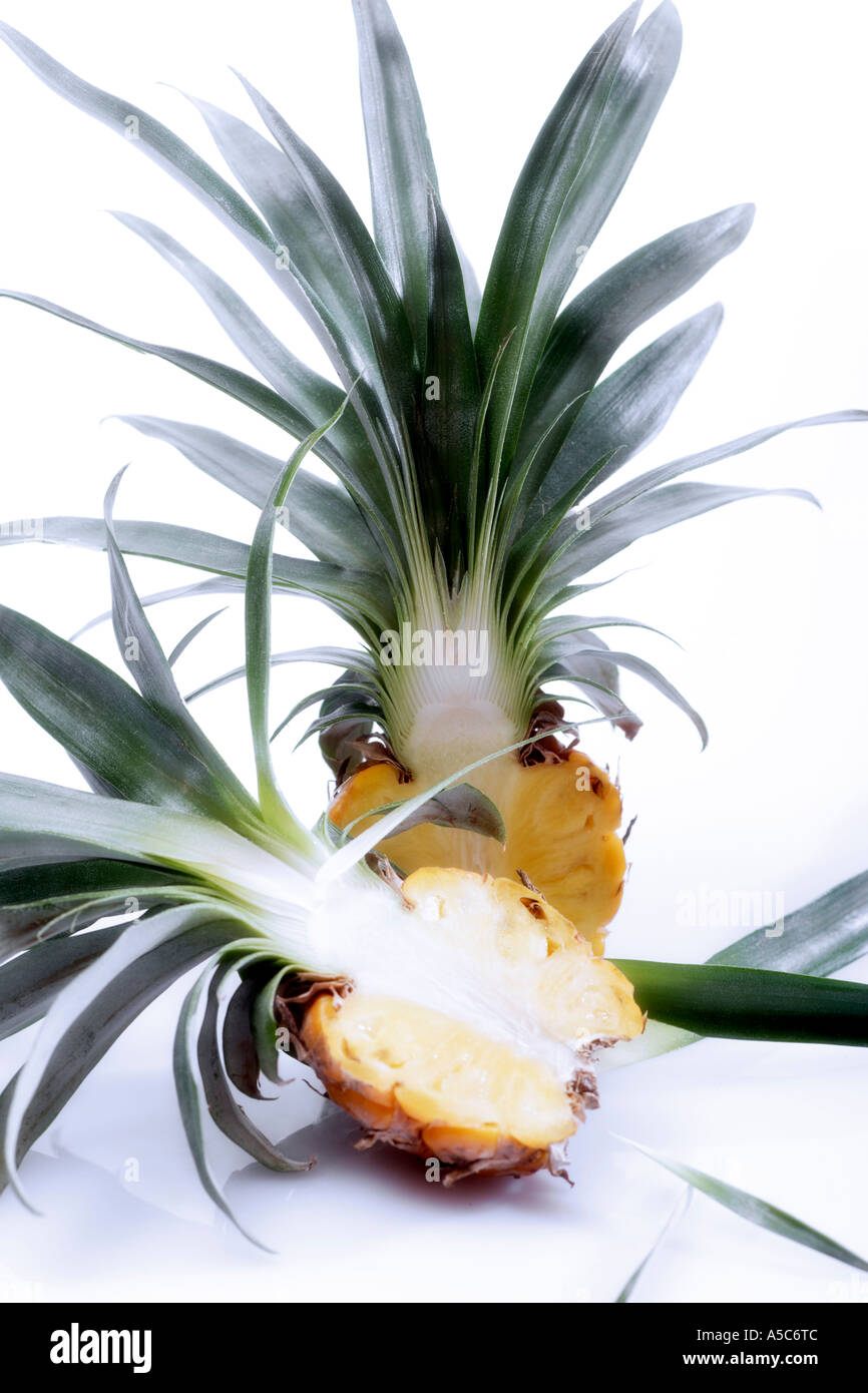 Fresh cross cut ripe pineapple hi-res stock photography and images - Alamy