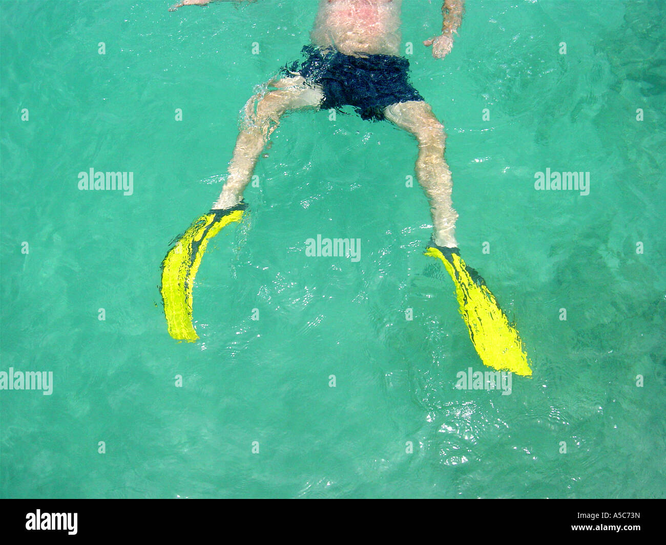 Wearing flippers hi-res stock photography and images - Alamy