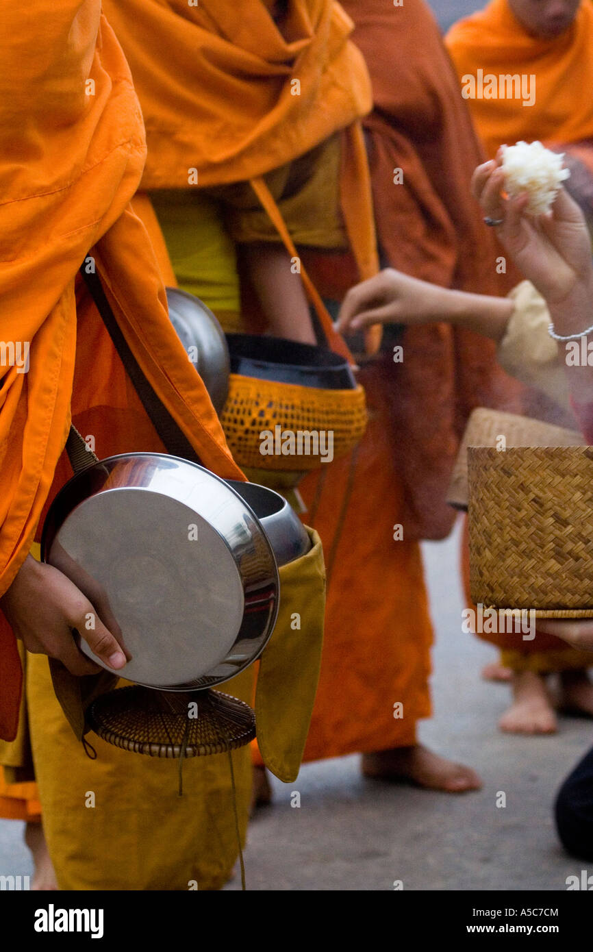 Buddhist Women Make Offering of Sticky Rice During Morning Alms Udomxai ...