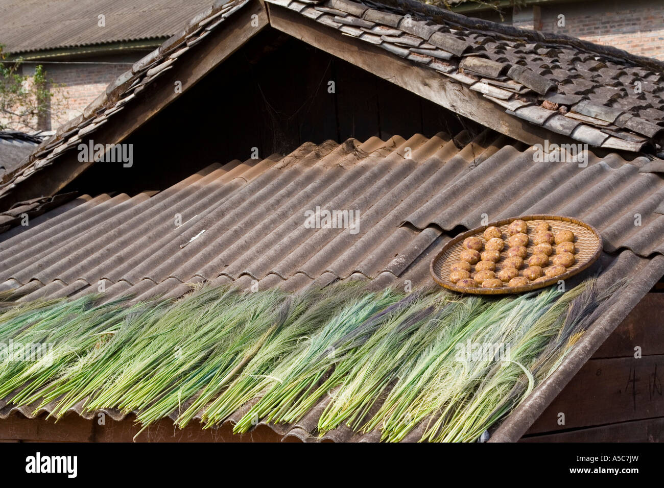 Kunai grass roof hi-res stock photography and images - Alamy