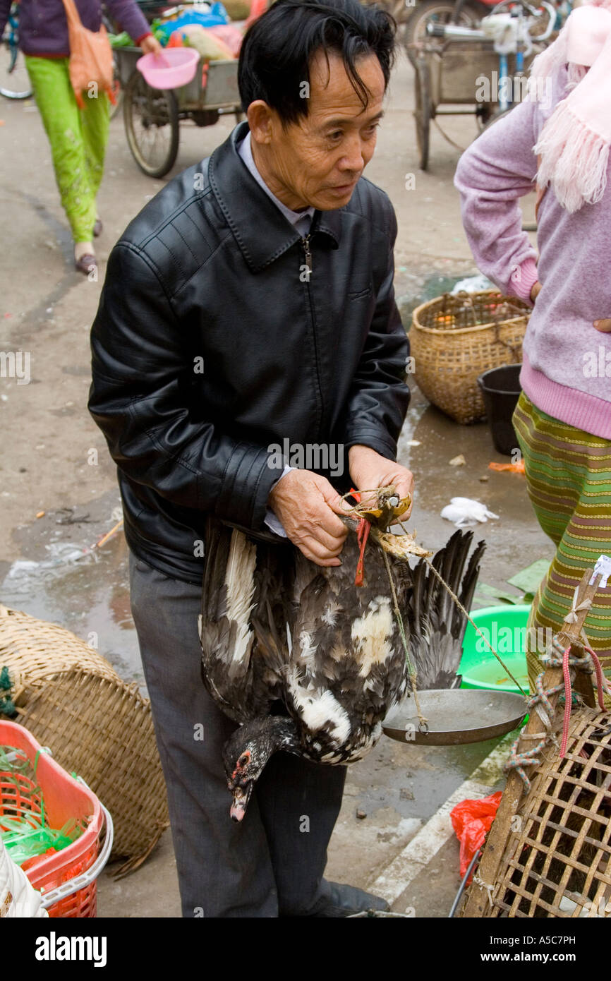 Man Weighing a Duck for Sale Mengla Xishuangbanna China Stock Photo - Alamy