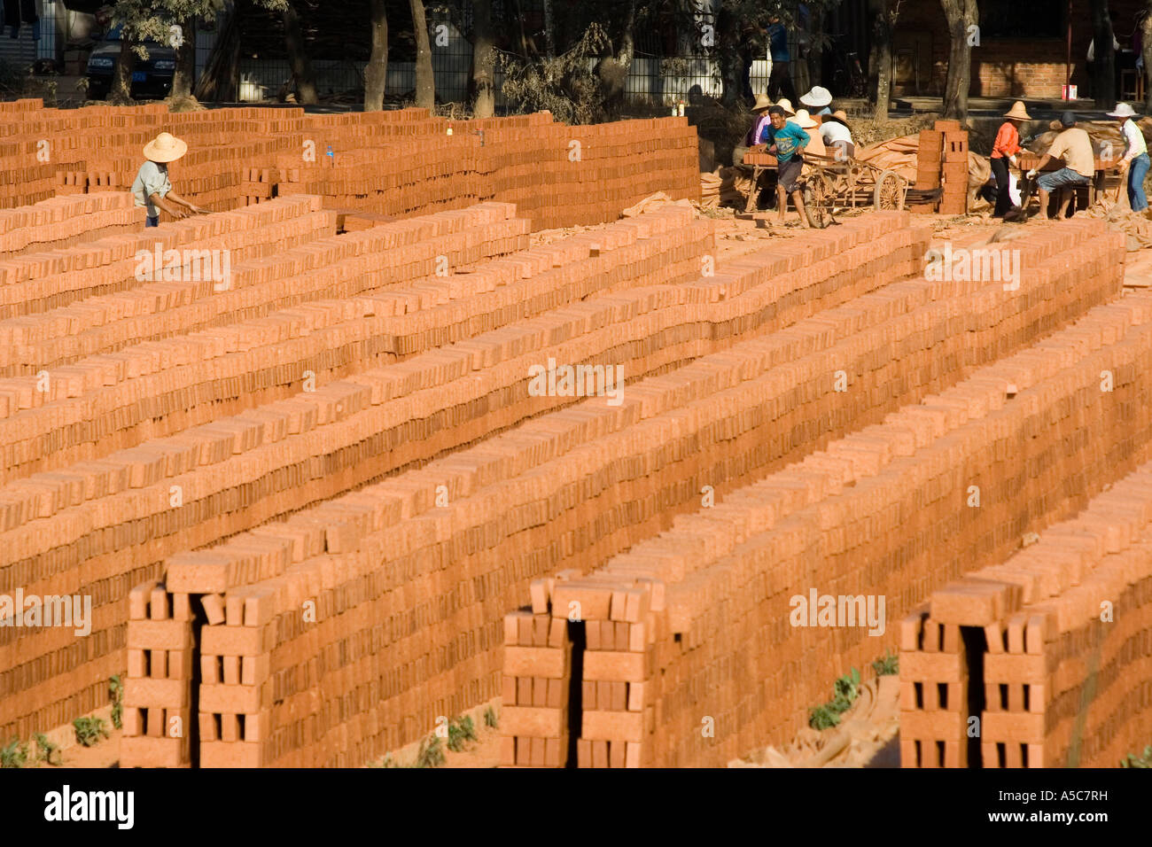 Red Bricks Harden in the Sun Outside a Brick Factory Jinghong China ...