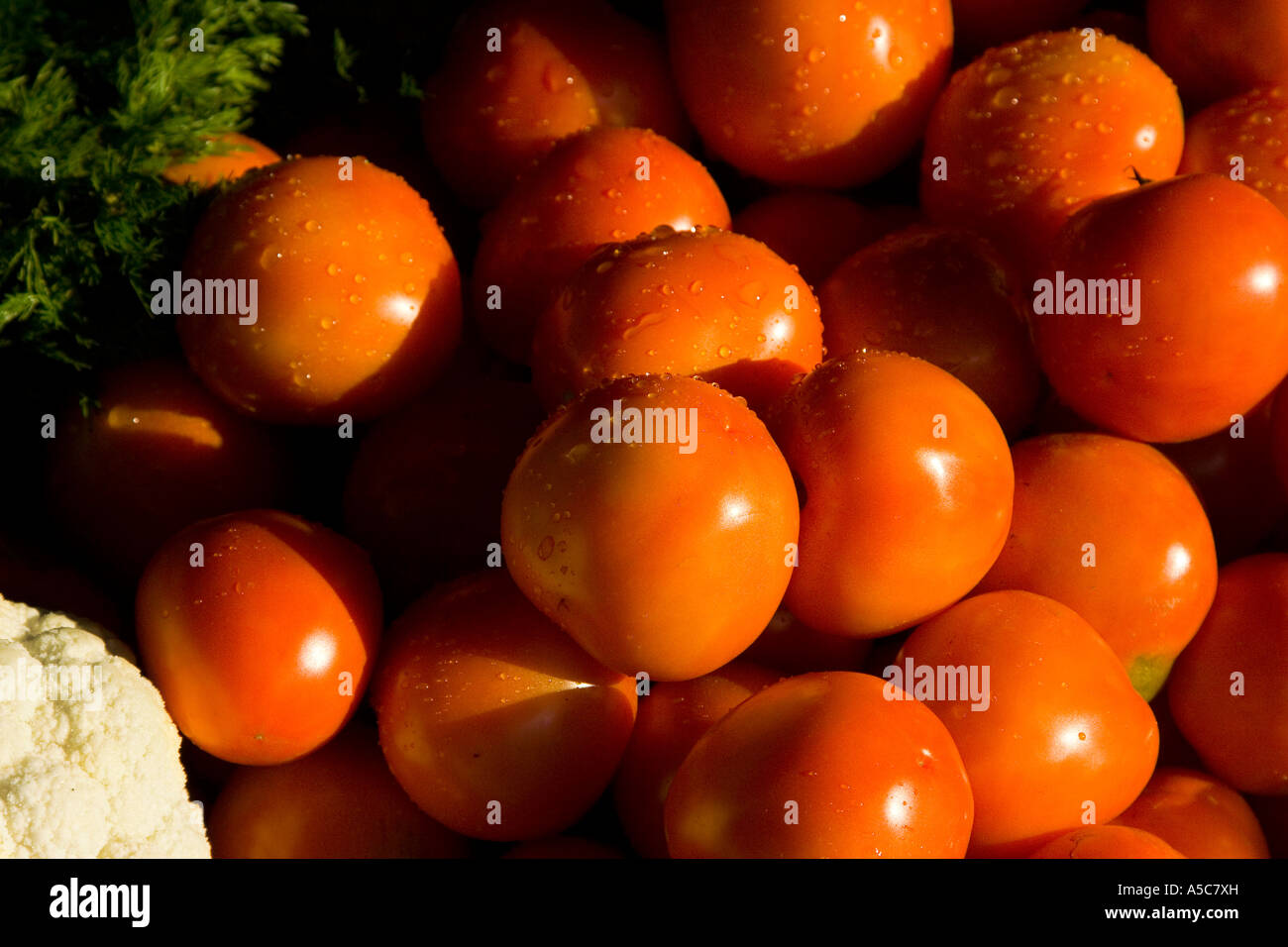 Fresh Ripe Red Tomatoes for Sale at Market Menghai China Xishuangbanna ...
