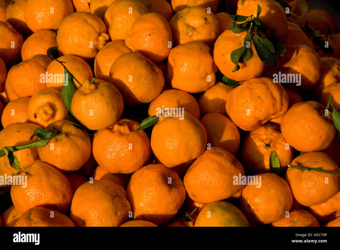 Oranges at Market Menghai China Xishuangbanna Stock Photo - Alamy