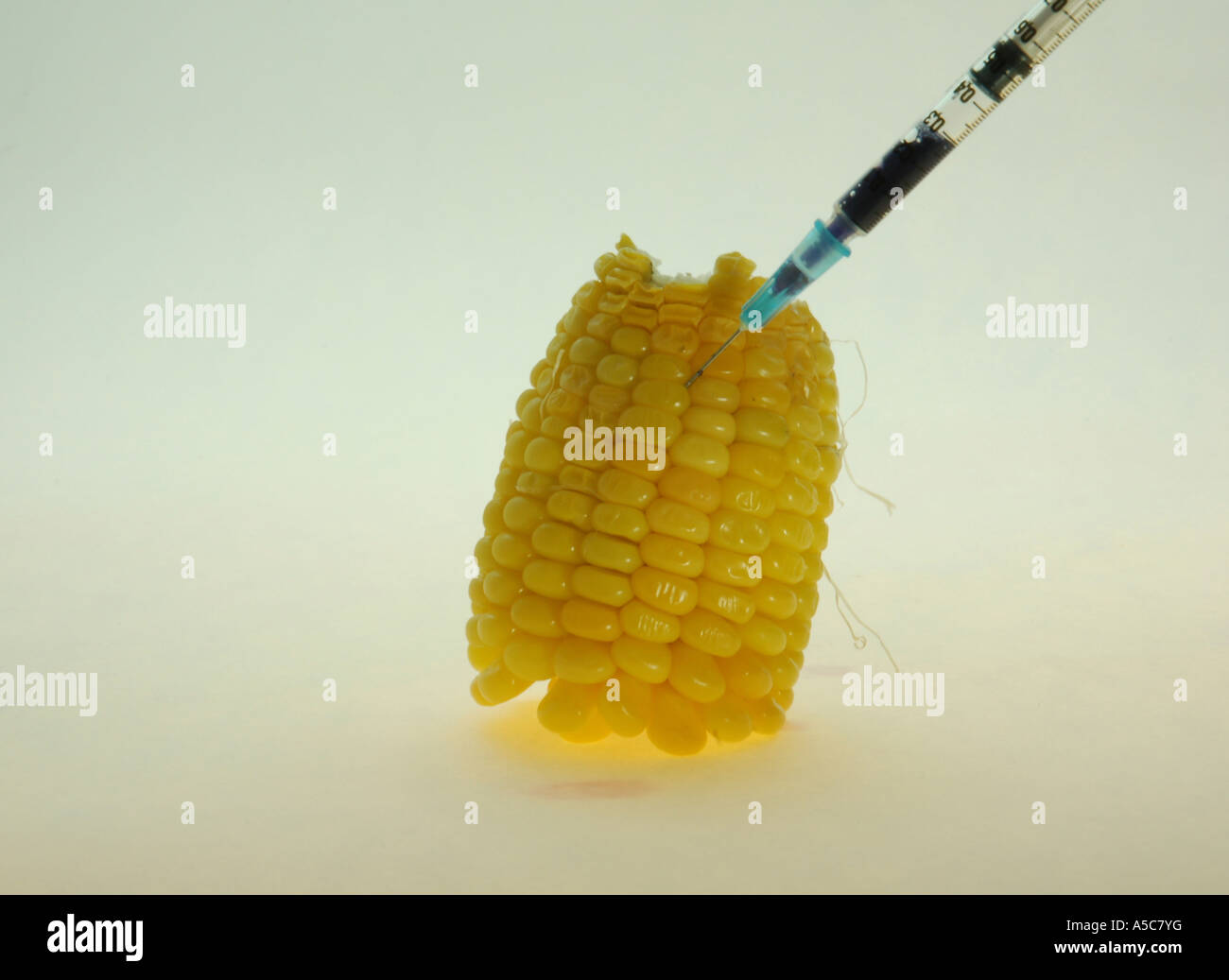 Injection biological needle corn hi-res stock photography and images ...